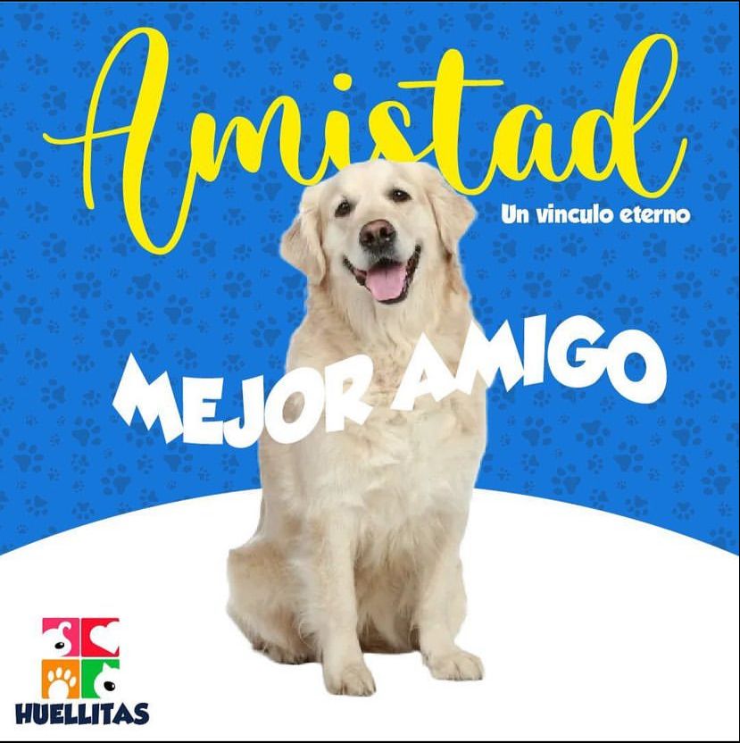 Post publicitarios :: Yermain Design Agency